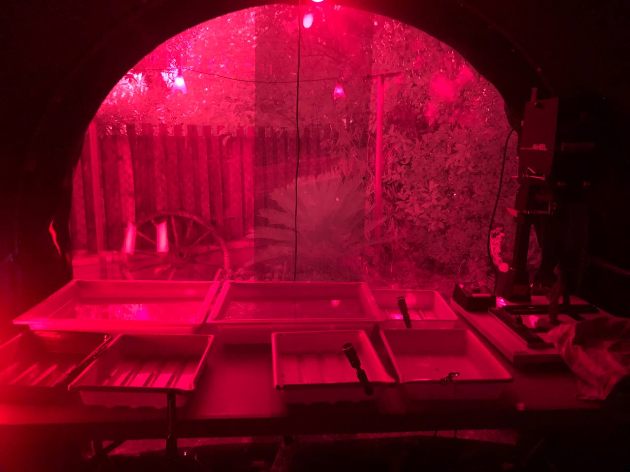 La chambre rouge Greenhouse Photography – Freies Projekt von Pierre ...